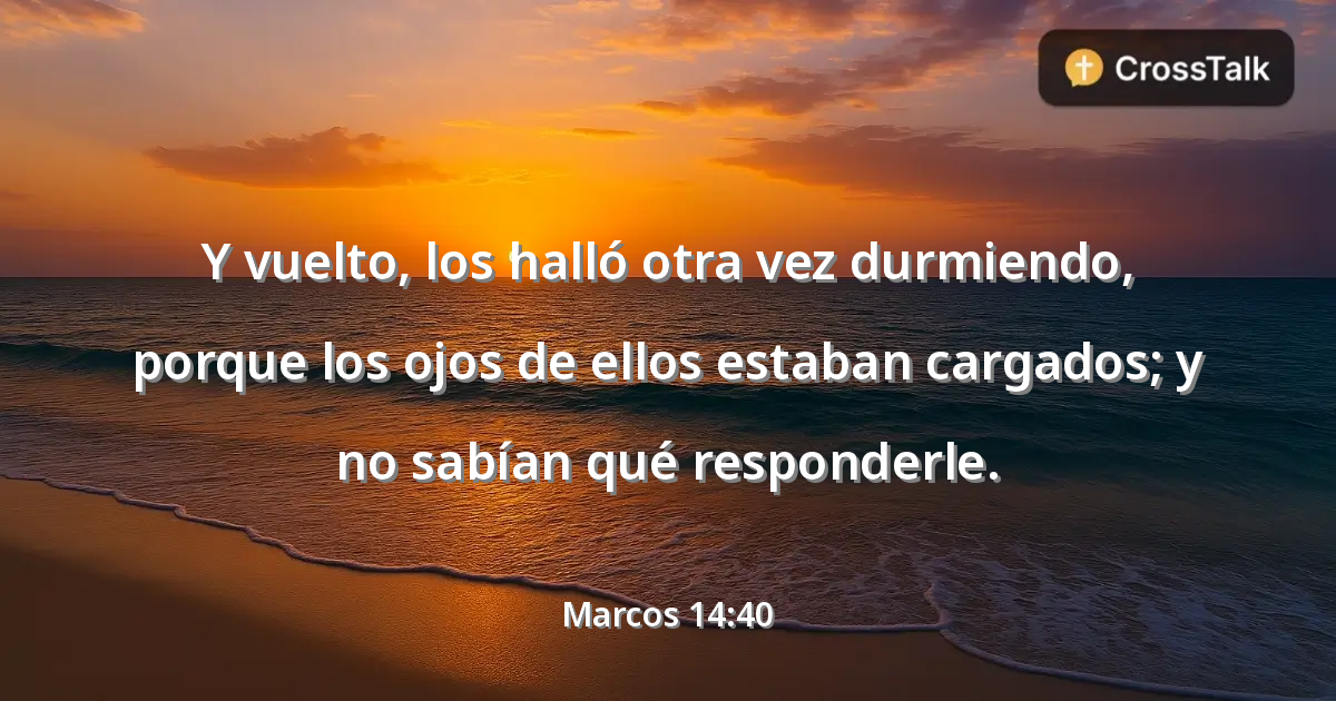 Marcos 14:40 | Bible Chat