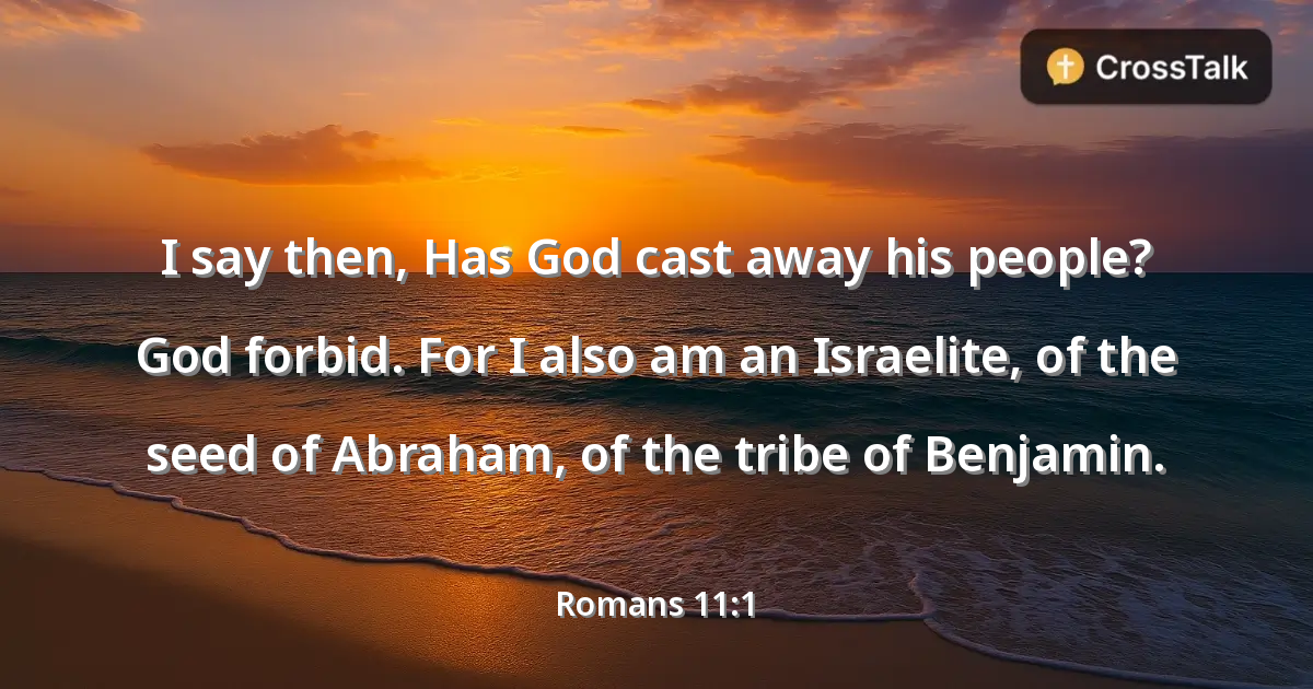 Romans 11:1 | Bible Chat