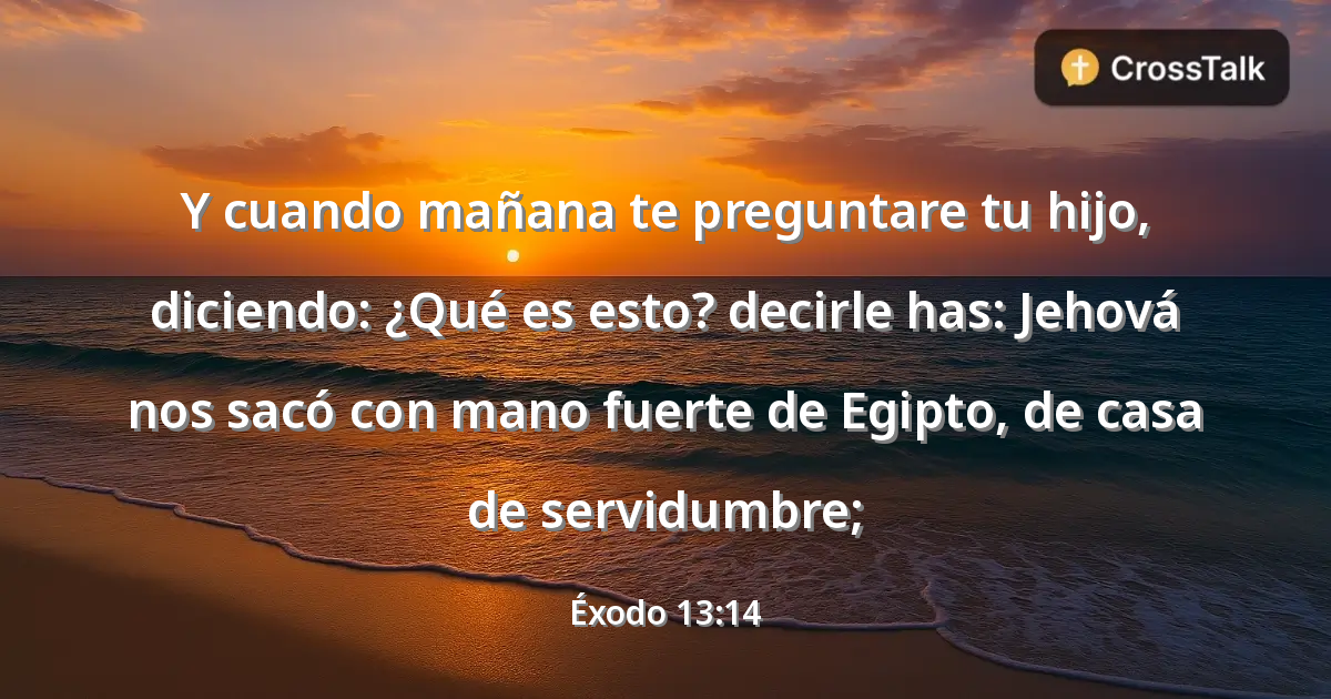 Éxodo 13:14 | Bible Chat