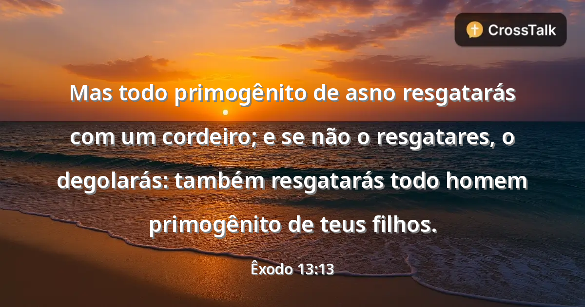 Êxodo 13:13 | Bible Chat