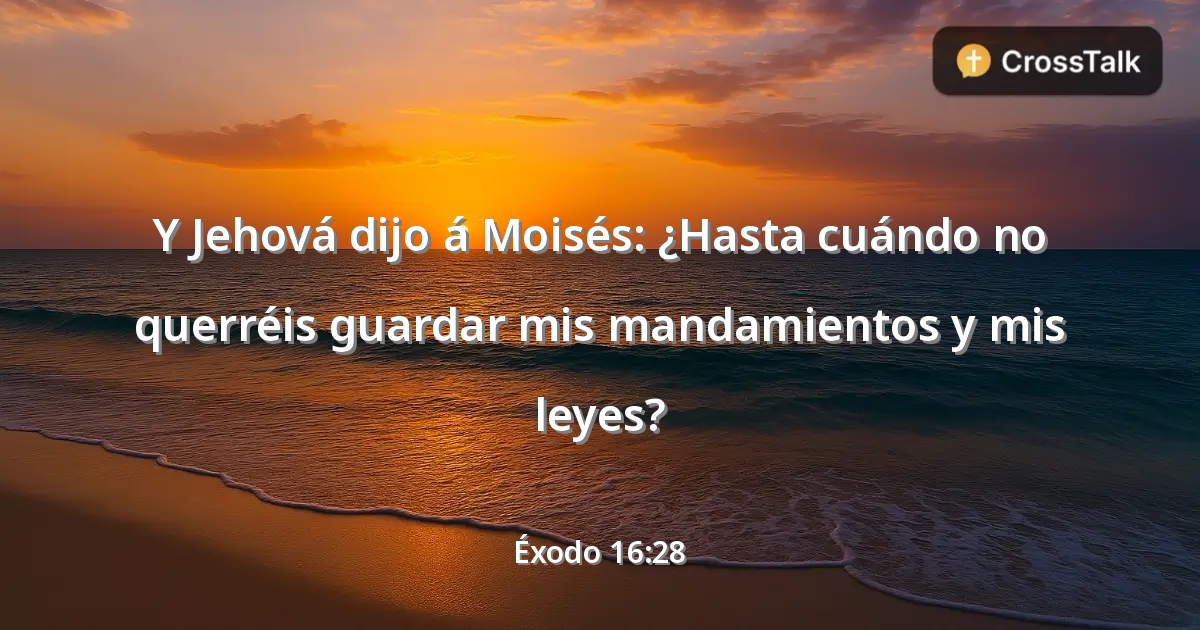 Éxodo 16:28 | Bible Chat