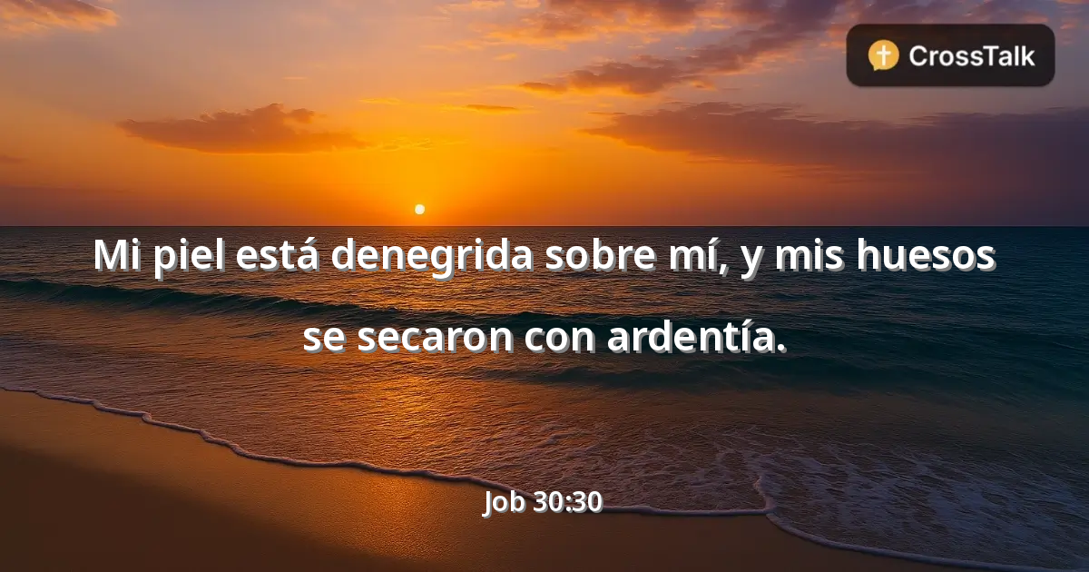 Job 30:30 | Bible Chat