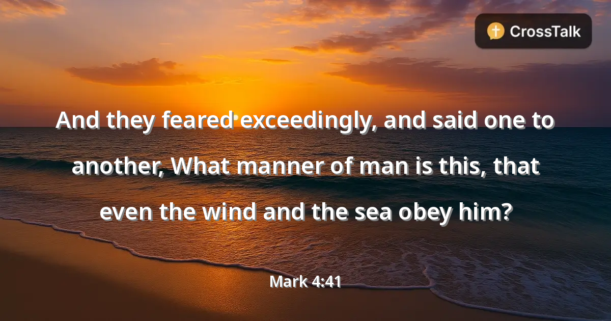 Mark 4:41 | Bible Chat